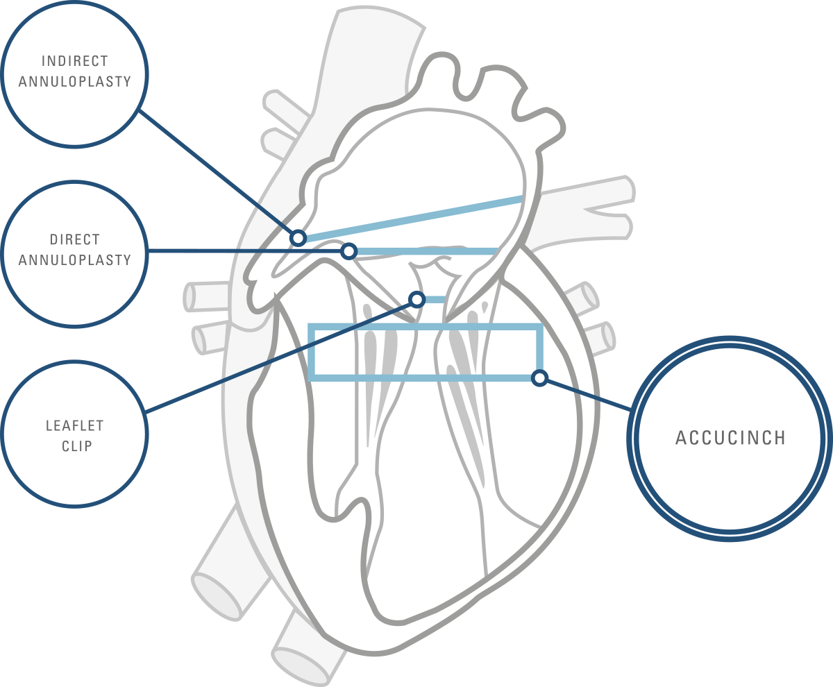 Physicians – Ancora