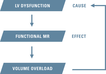 Test Page (New Backend Builder) - Ancora Heart